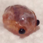 GOODNIGHT HYPNOPOMP | STOMACH BOOK