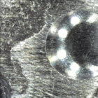 Relapse Records: 25 Years of Contamination | Various Artists | Relapse ...