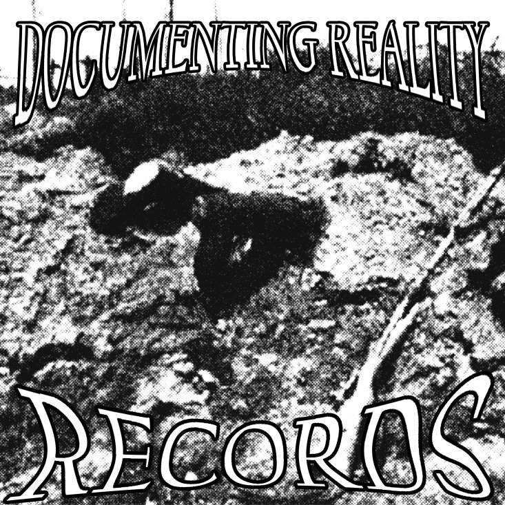 Artists | Documenting Reality Records