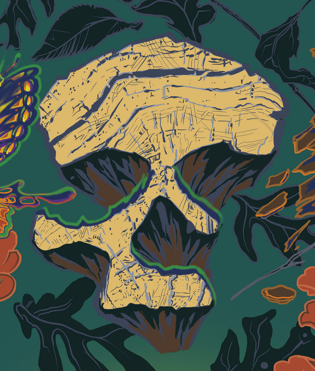 Deadwood Guitar Sessions: Volume One | Doke, Fowler and Veale