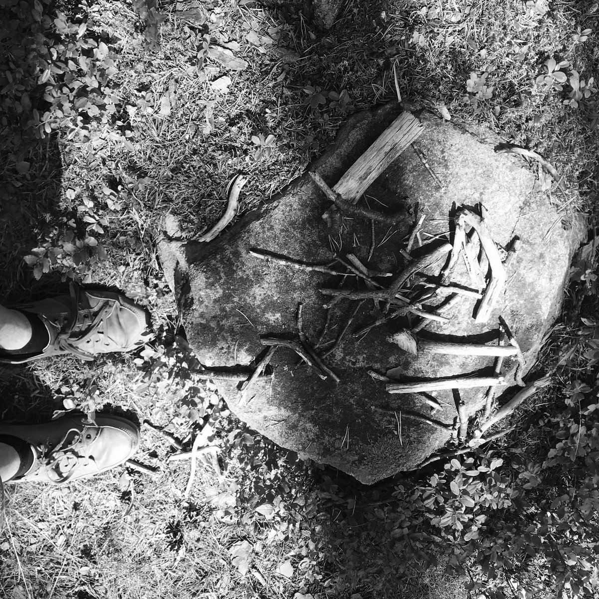 OUT NOW! - Tape For Harmony Korine | Chad M Clark, Ian Kennedy, Leon ...