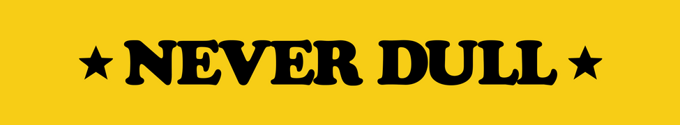Subscribe to Never Dull | Never Dull