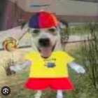 Fallow Original Soundtrack | Ada Rook