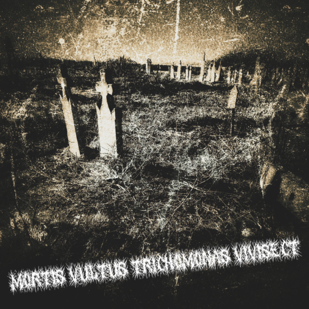 Sewage Drain Pipe (Practice Recording, i guess ^^) | Mortis Vultus ...