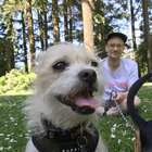 African Jazz invites O.K. Jazz (1961-1970) | African Jazz, OK Jazz ...