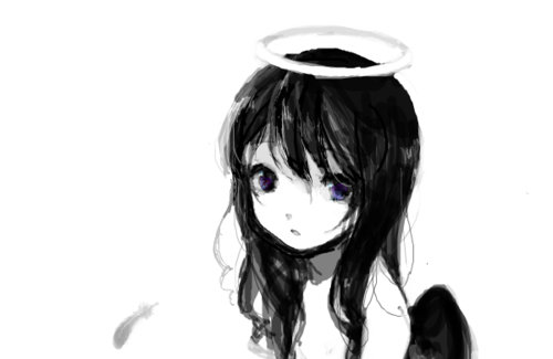 Aurora Veil | Aurora Veil