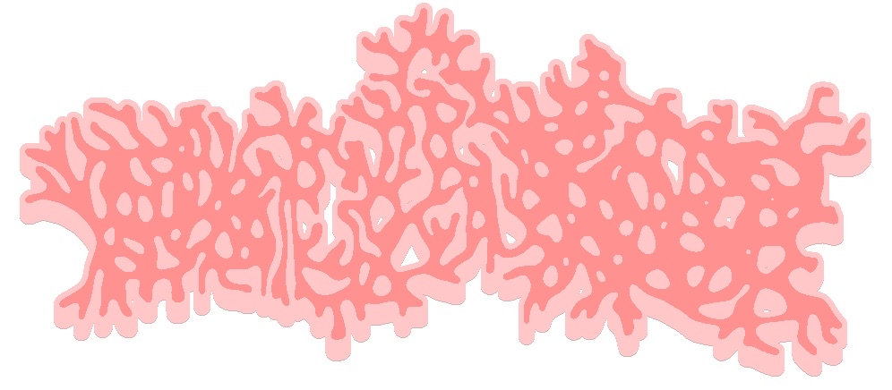 Three Dick Footfuck Split w/Haemophilus Vaginalis | CxGx, HxVx ...