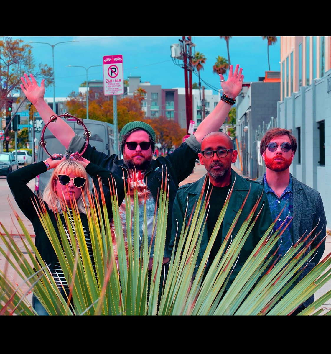 The Return of Heavy Cat | Heavy Cat