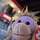 melanchole | salvia palth