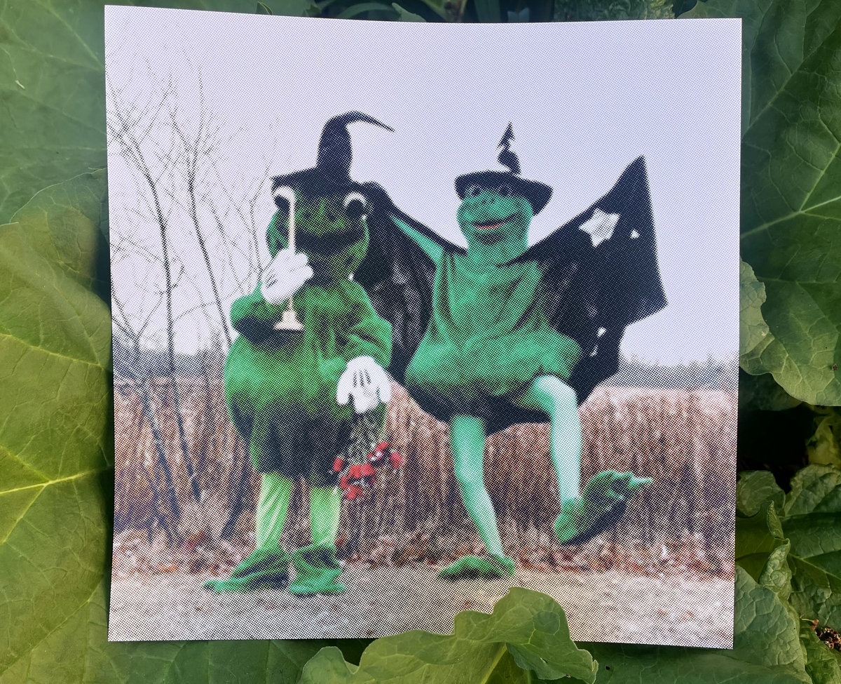 Slumbering Sounds of the Frog Fellowship II | Frog Concert