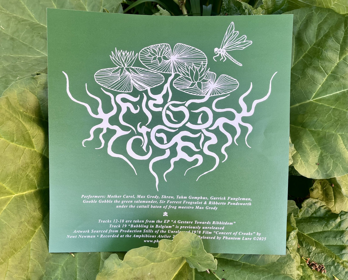 Slumbering Sounds of the Frog Fellowship II | Frog Concert