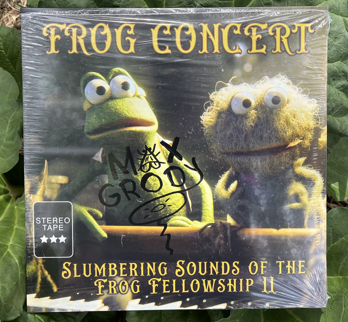 Slumbering Sounds of the Frog Fellowship II | Frog Concert