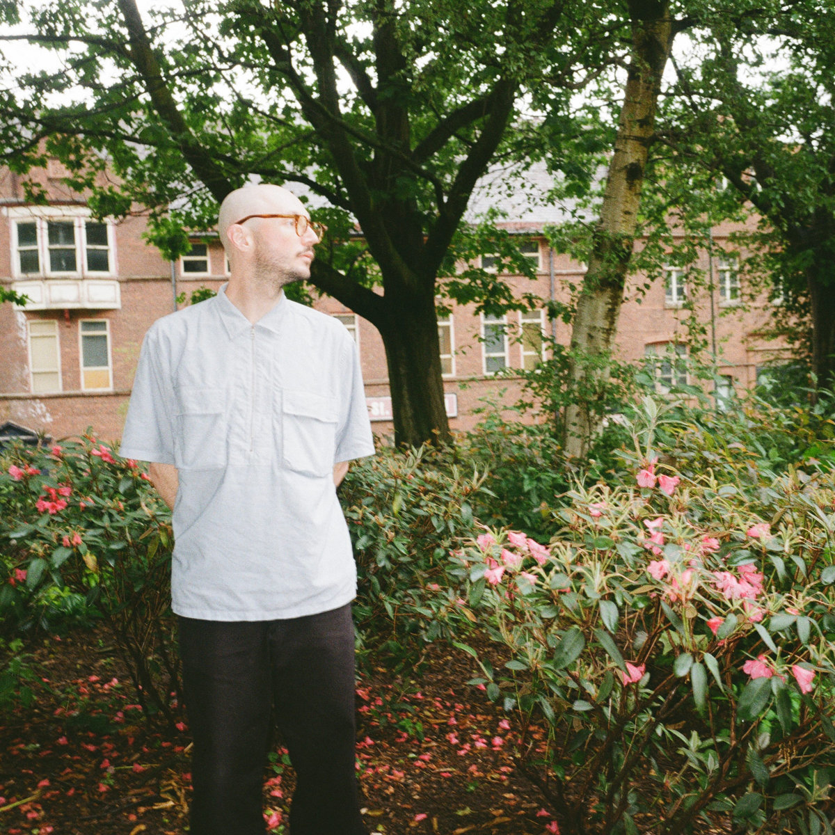 Who Knows What's On? | Henzo