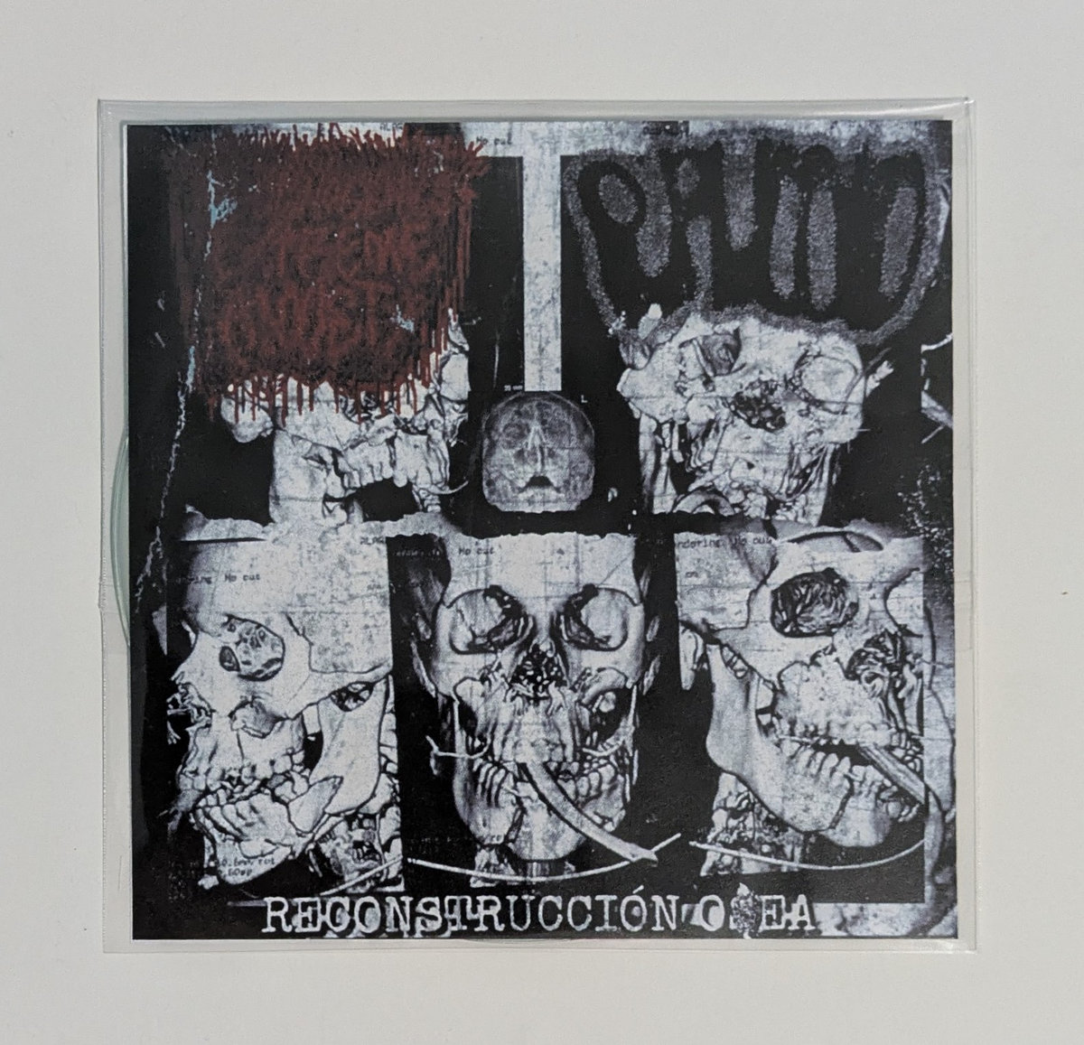 HxExA / Puruloid Split | Puruloid, HxExA | Puruloid