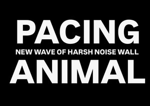 Music | Pacing Animal