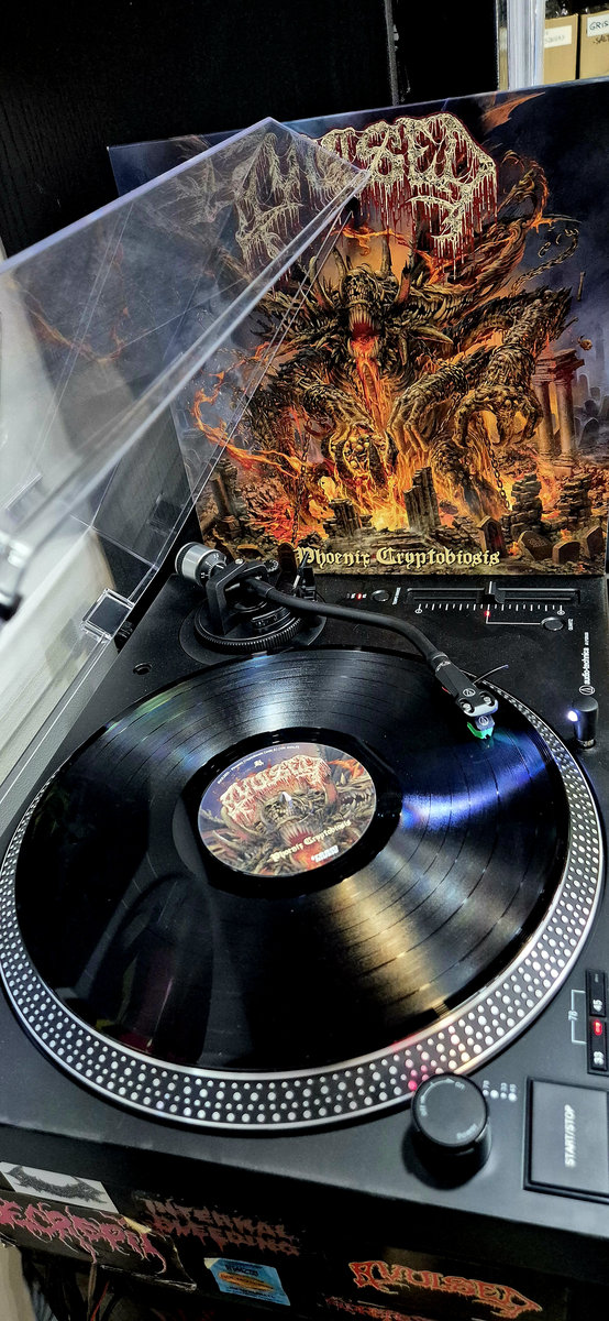 Phoenix Cryptobiosis | AVULSED