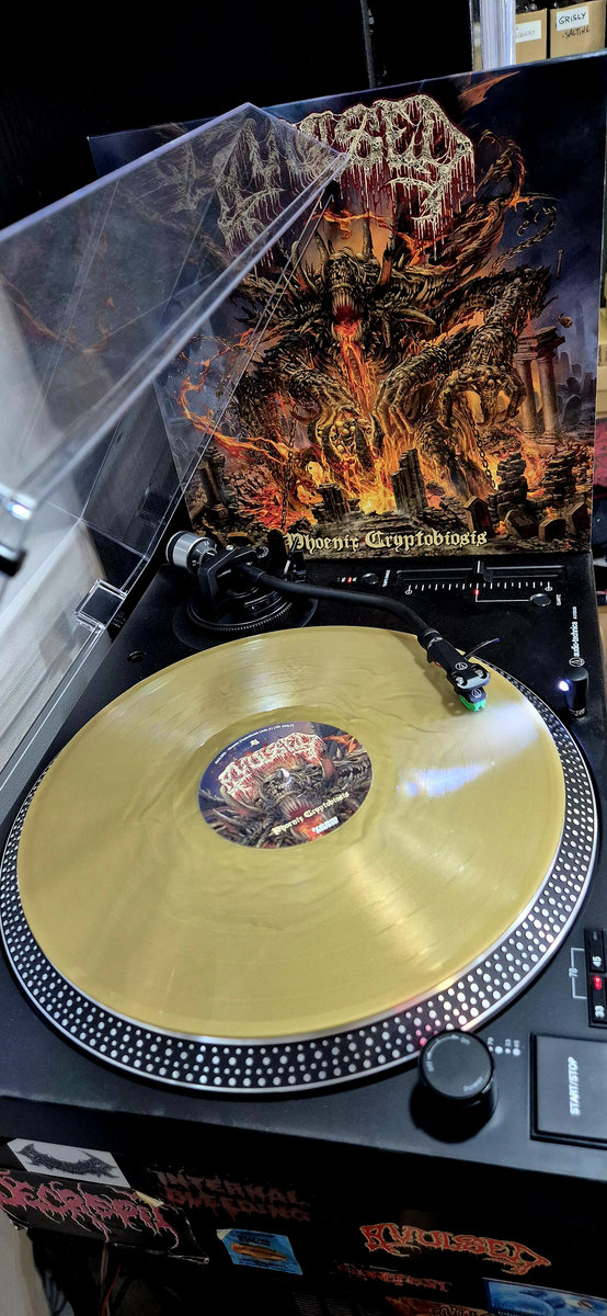 Phoenix Cryptobiosis | AVULSED