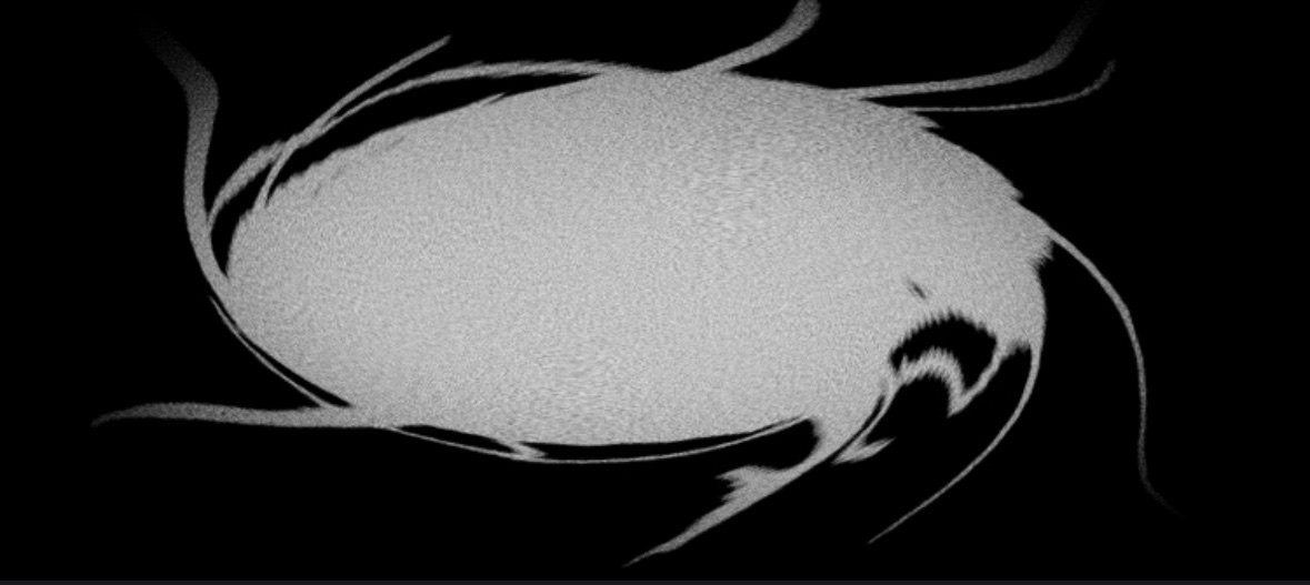 WidoW | xWxWx | XwXwX