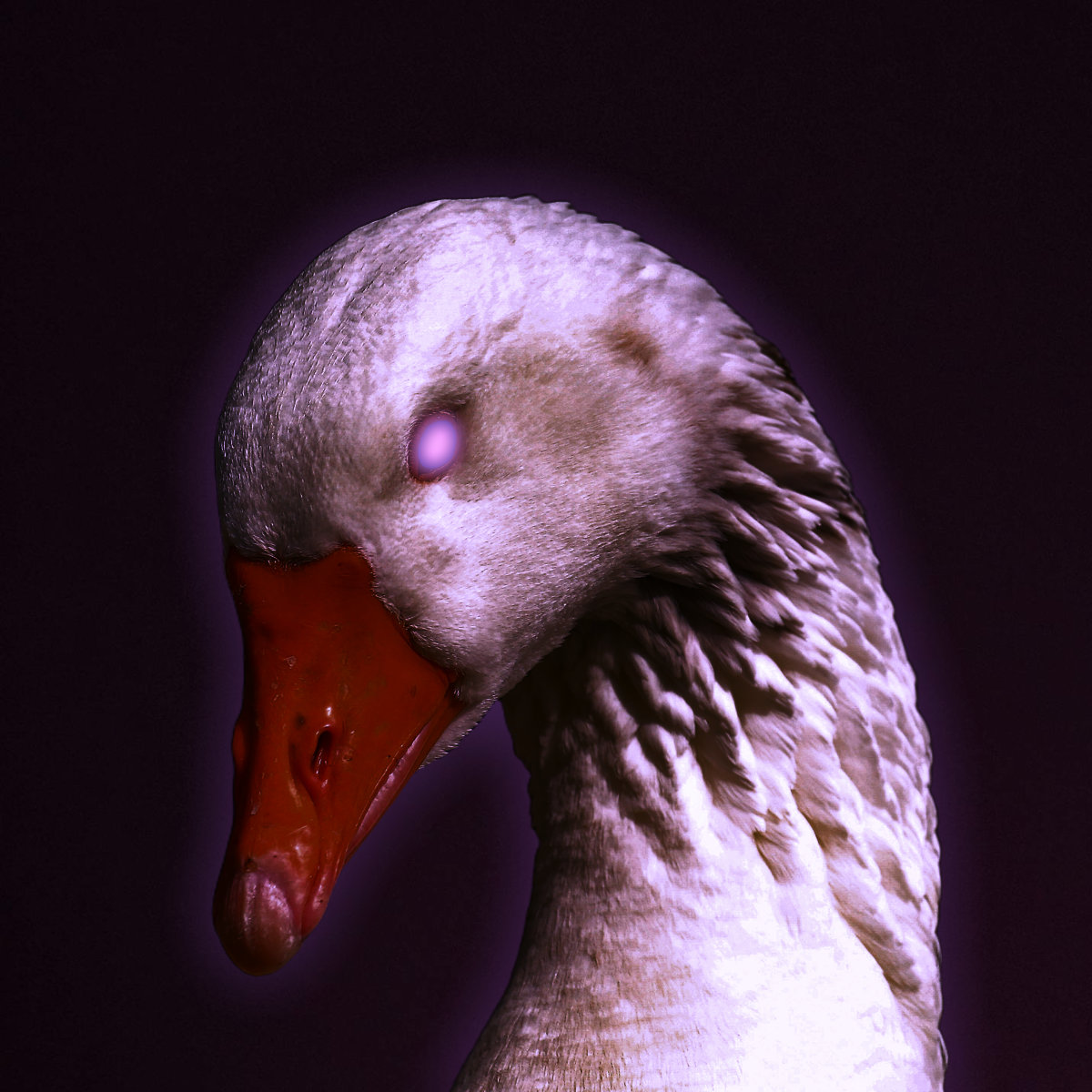 Adam Sandler Kreekcraft Remix (Remastered) | Darknova