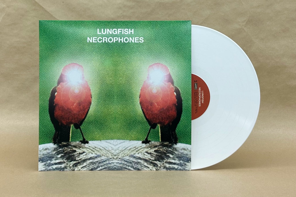 A Guide to Lungfish, Dischord Records’ Most Idiosyncratic Band ...