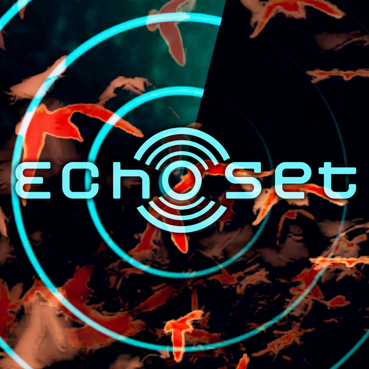Echo Set Singles | Echo Set