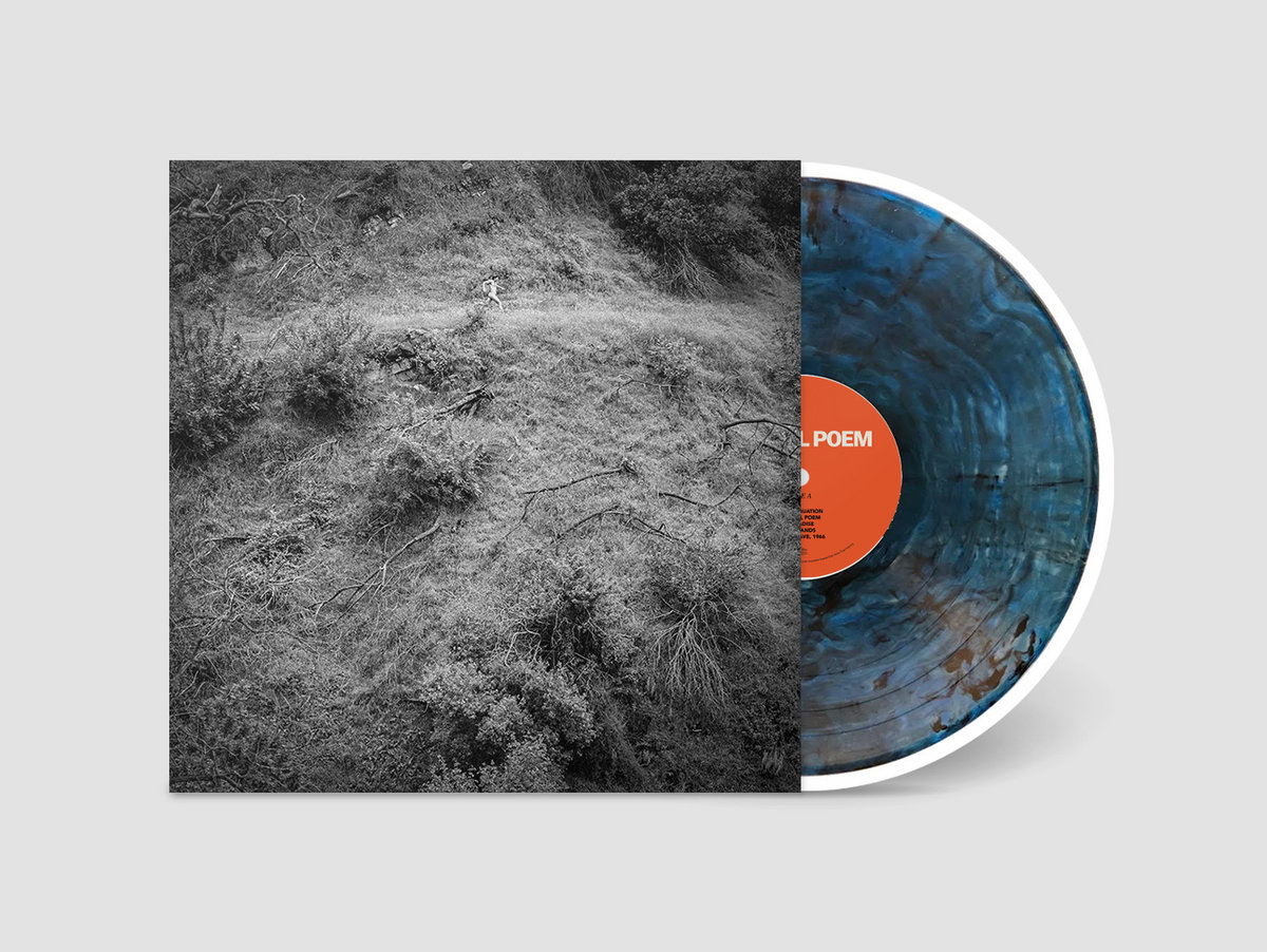 Animal Poem | Anna Tivel