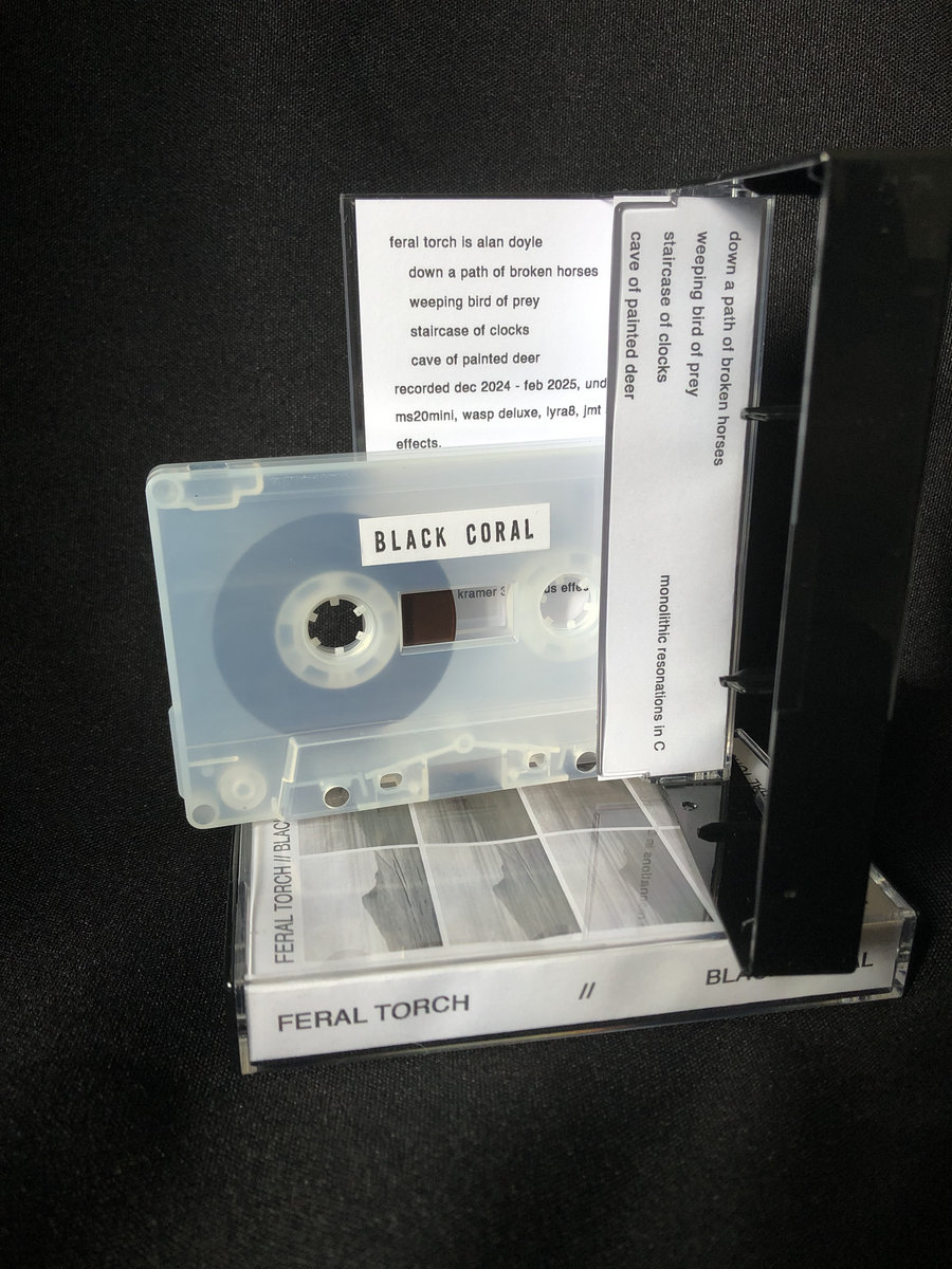 split with Black Coral | Feral Torch / Black Coral | FERAL TORCH