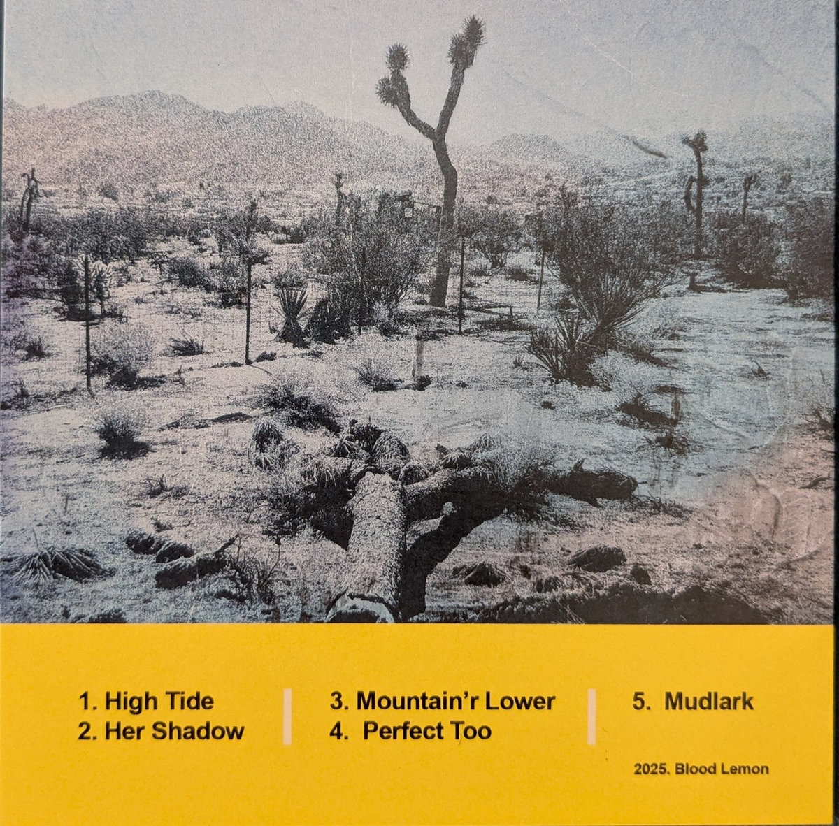 Petite Deaths | Blood Lemon