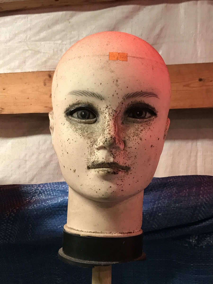 FLORIVIDA SS25 | Aeon Tags