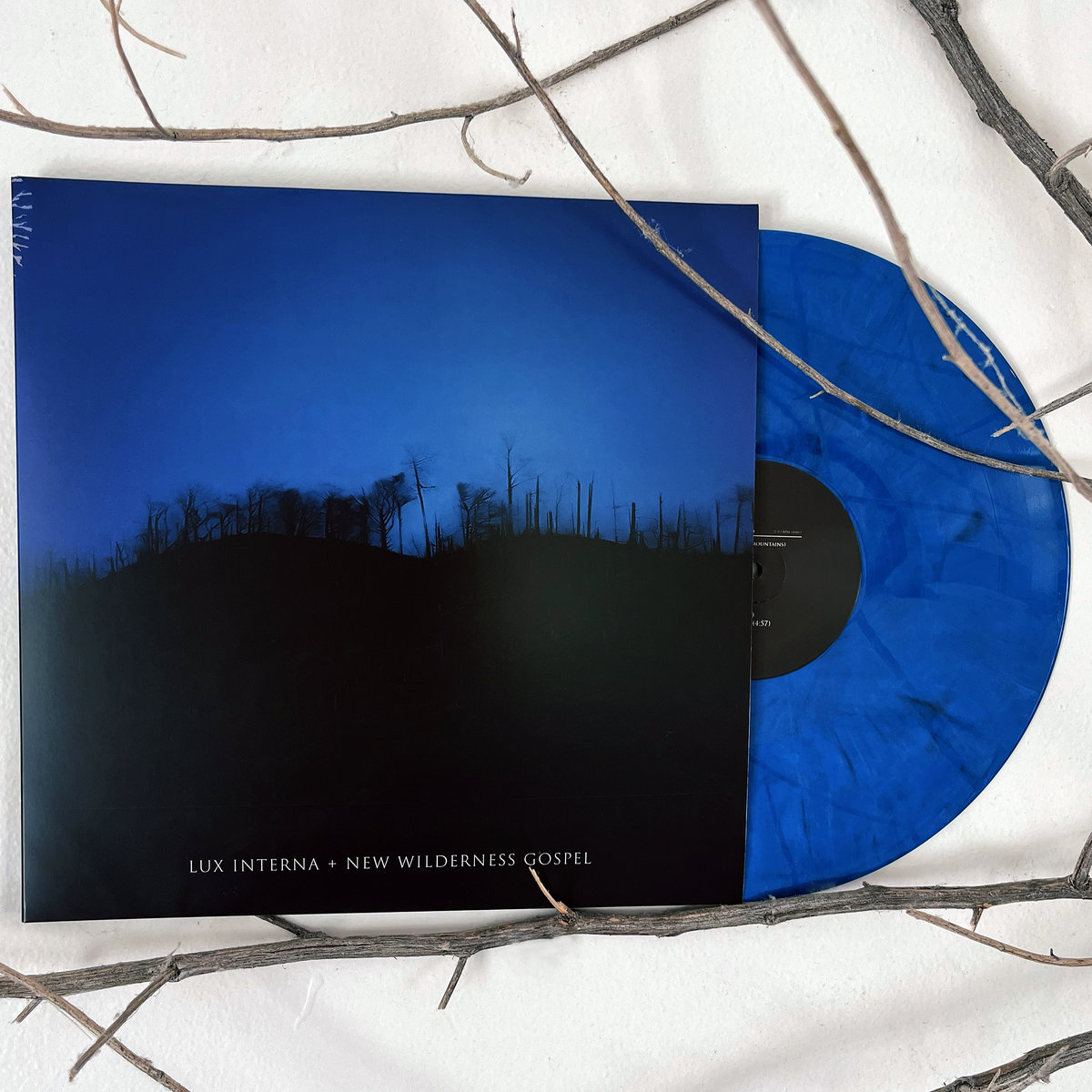 New Wilderness Gospel | LUX INTERNA