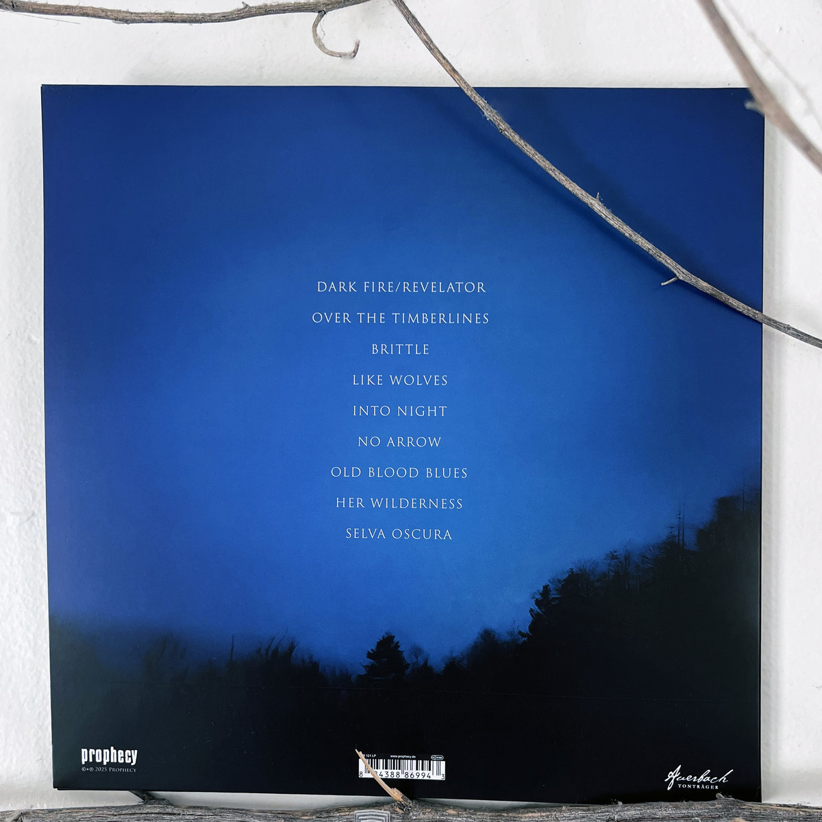 New Wilderness Gospel | LUX INTERNA