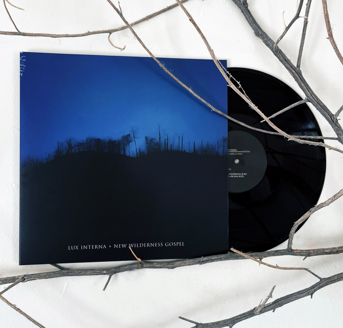 New Wilderness Gospel | LUX INTERNA