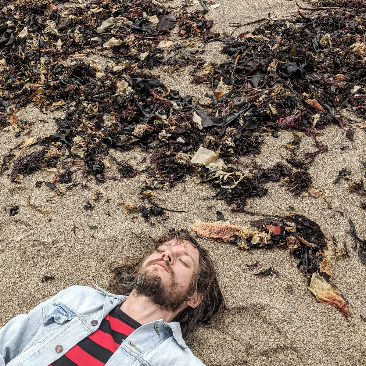 Cult of Strangers | Donovan Quinn