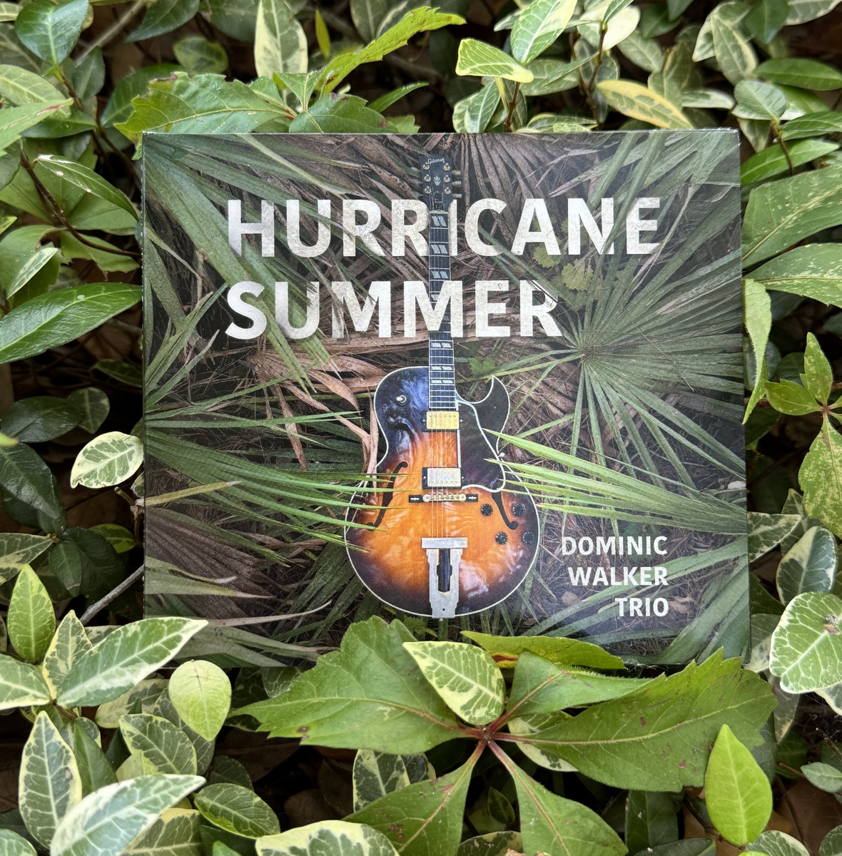 Hurricane Summer | Dominic Walker Trio | Dominic Walker