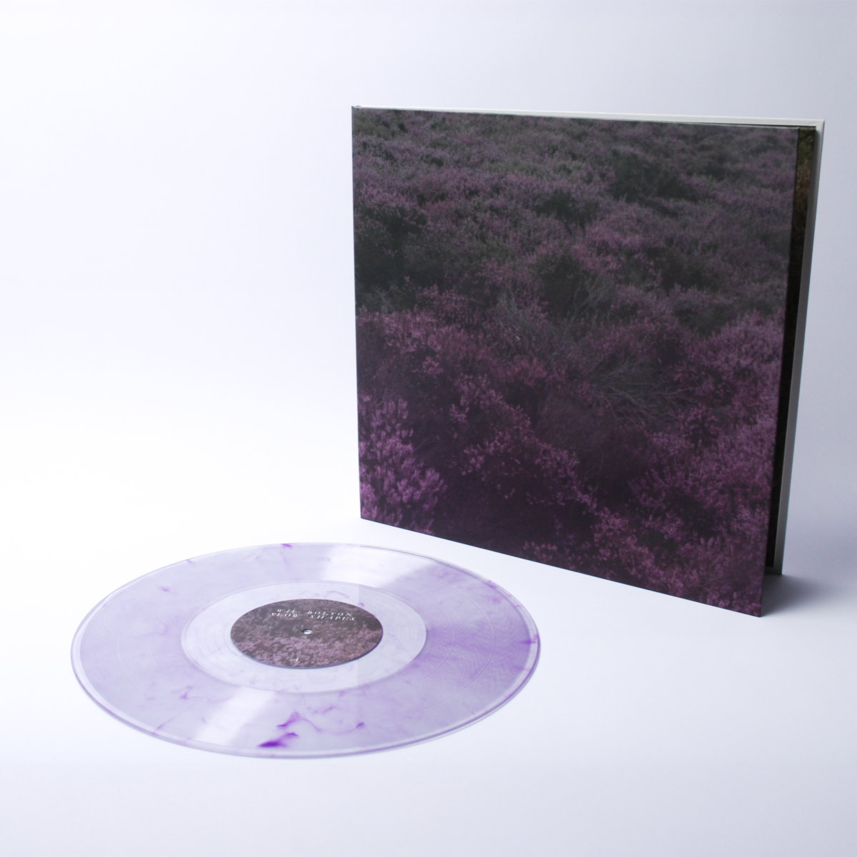 Slow Shapes | Wil Bolton