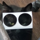 MM..FOOD (20 Year Anniversary Edition) | MF DOOM