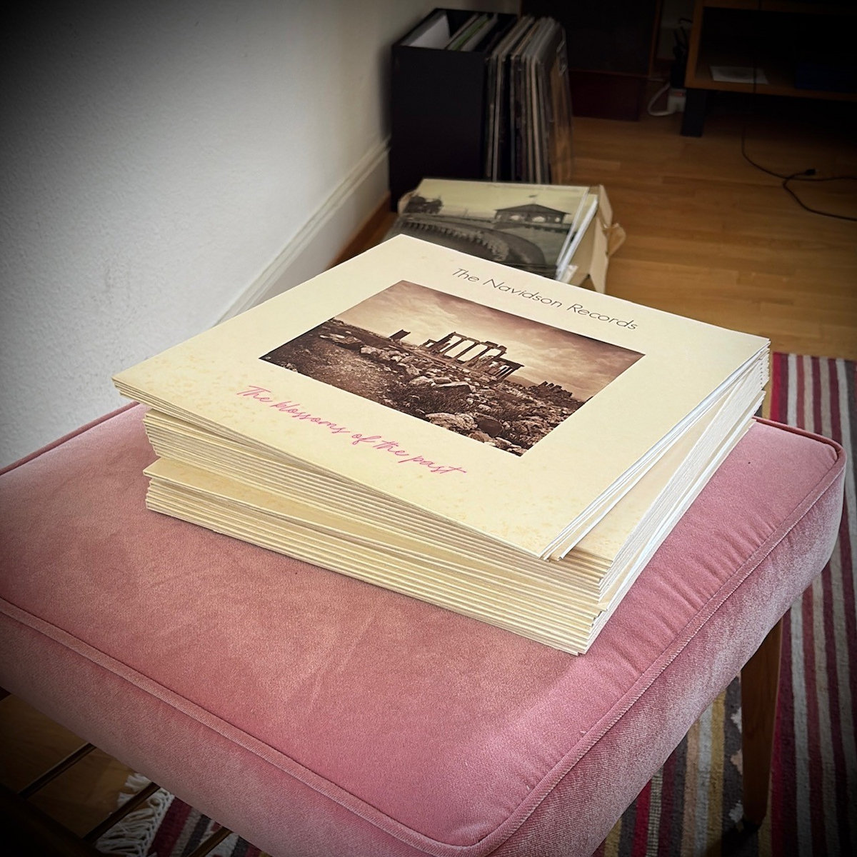 The blossoms of the past | The Navidson Records