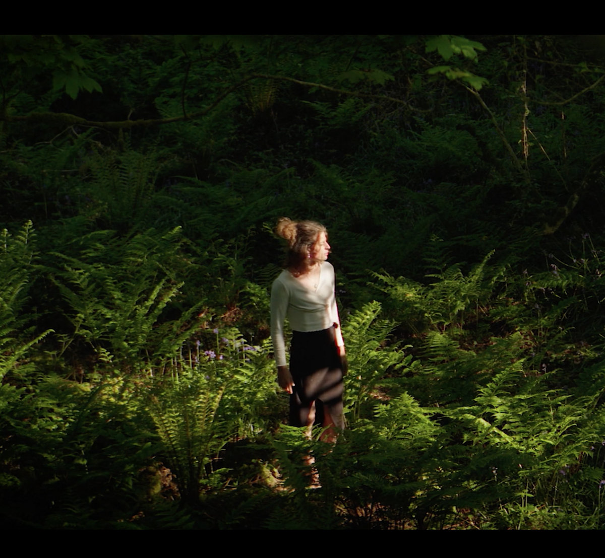 After The Rain | Tammy Adams