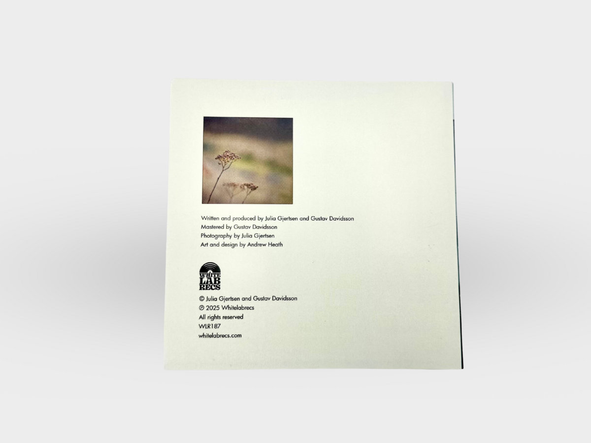 Wandering Mind, Drifting Weather | Julia Gjertsen & Gustav Davidsson | whitelabrecs