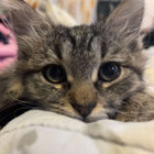 Girl Prometheus | Flower Face