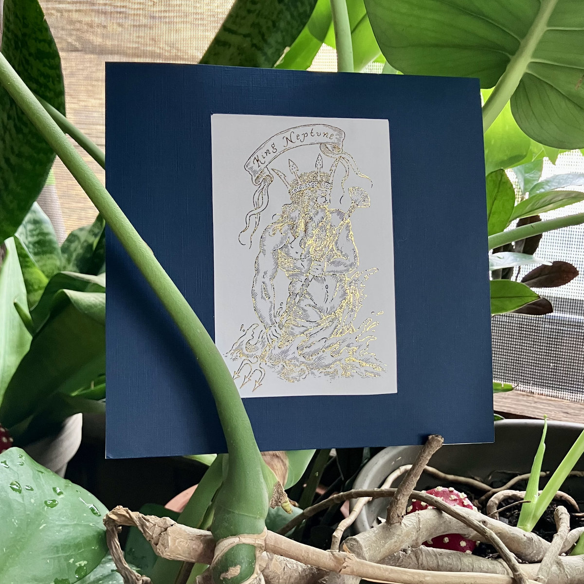 King Neptune / We Float Down The River | Allysen Callery | Tepid Toad ...