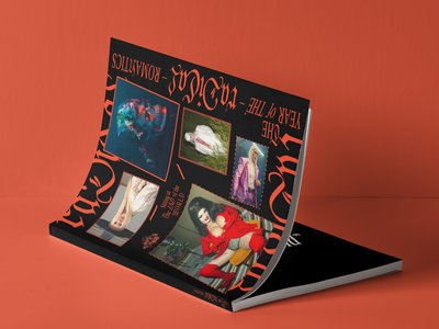 The Year Of The Radical Romantics Publication | Mute