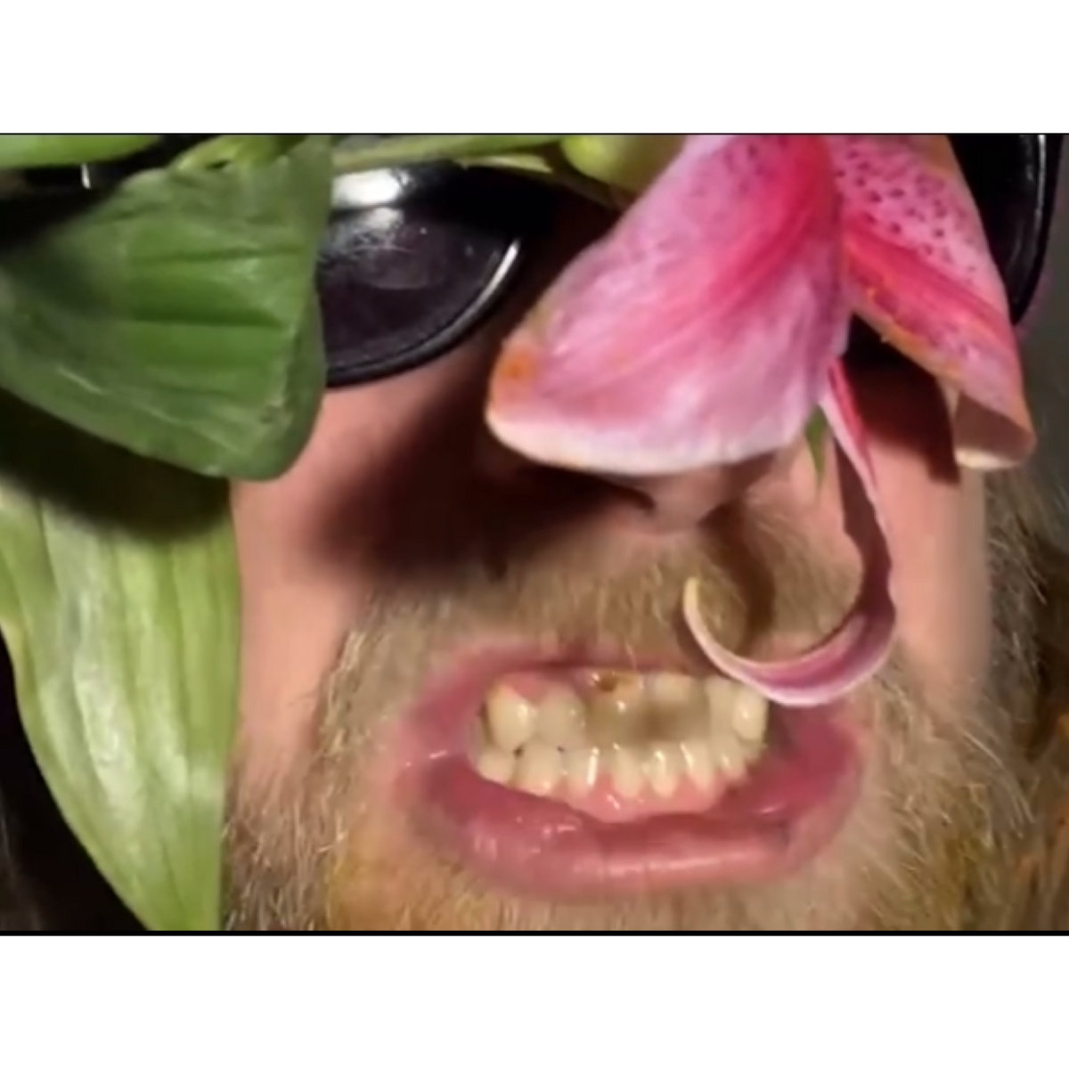 Hello Junkie | Jack G. Wilson