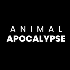 Music | Animal Apocalypse