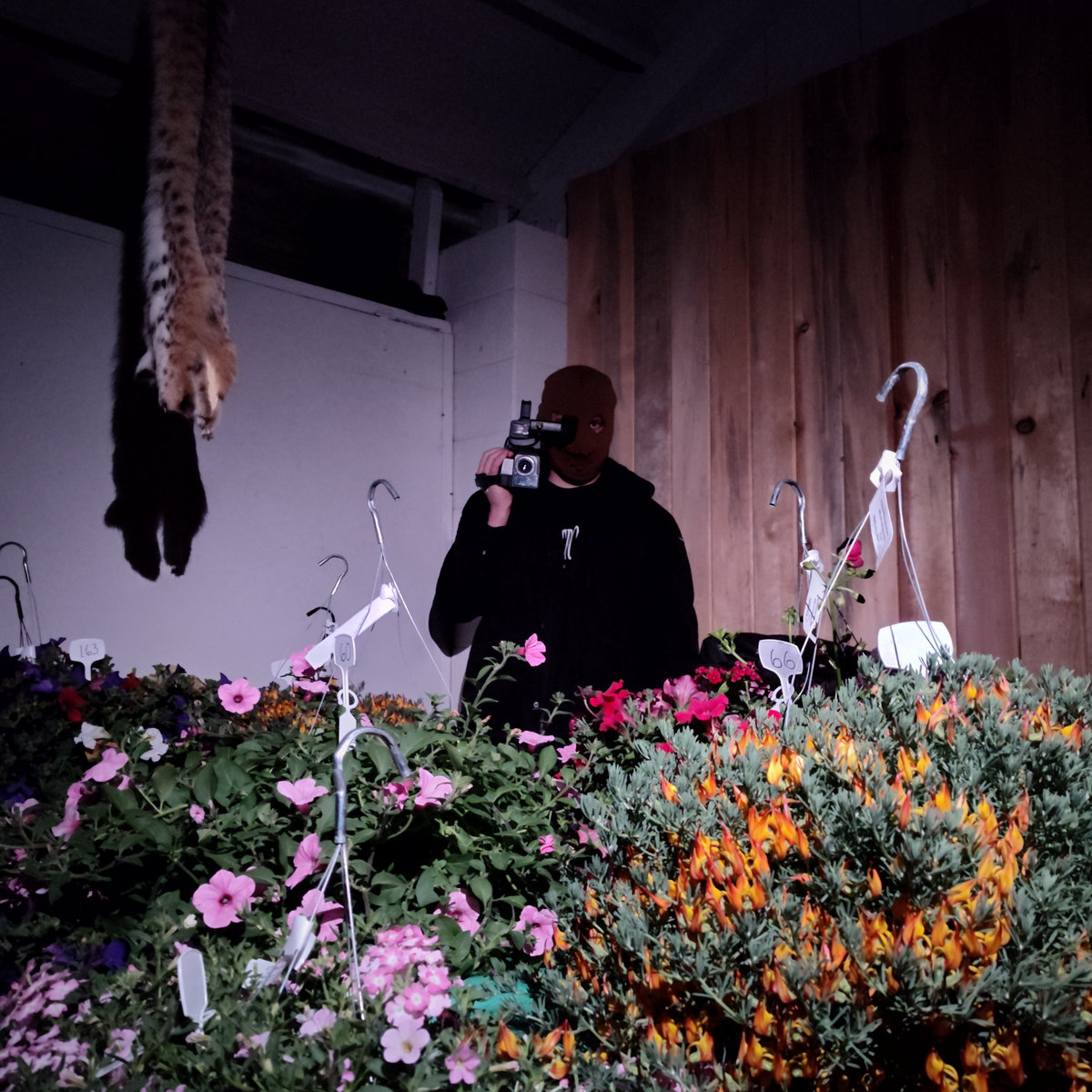 Forgotten Tracks Collection Vol. 2 | Pastel Beach