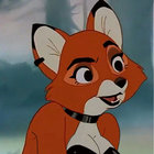 Pent Up Pup | Pent Up Pup