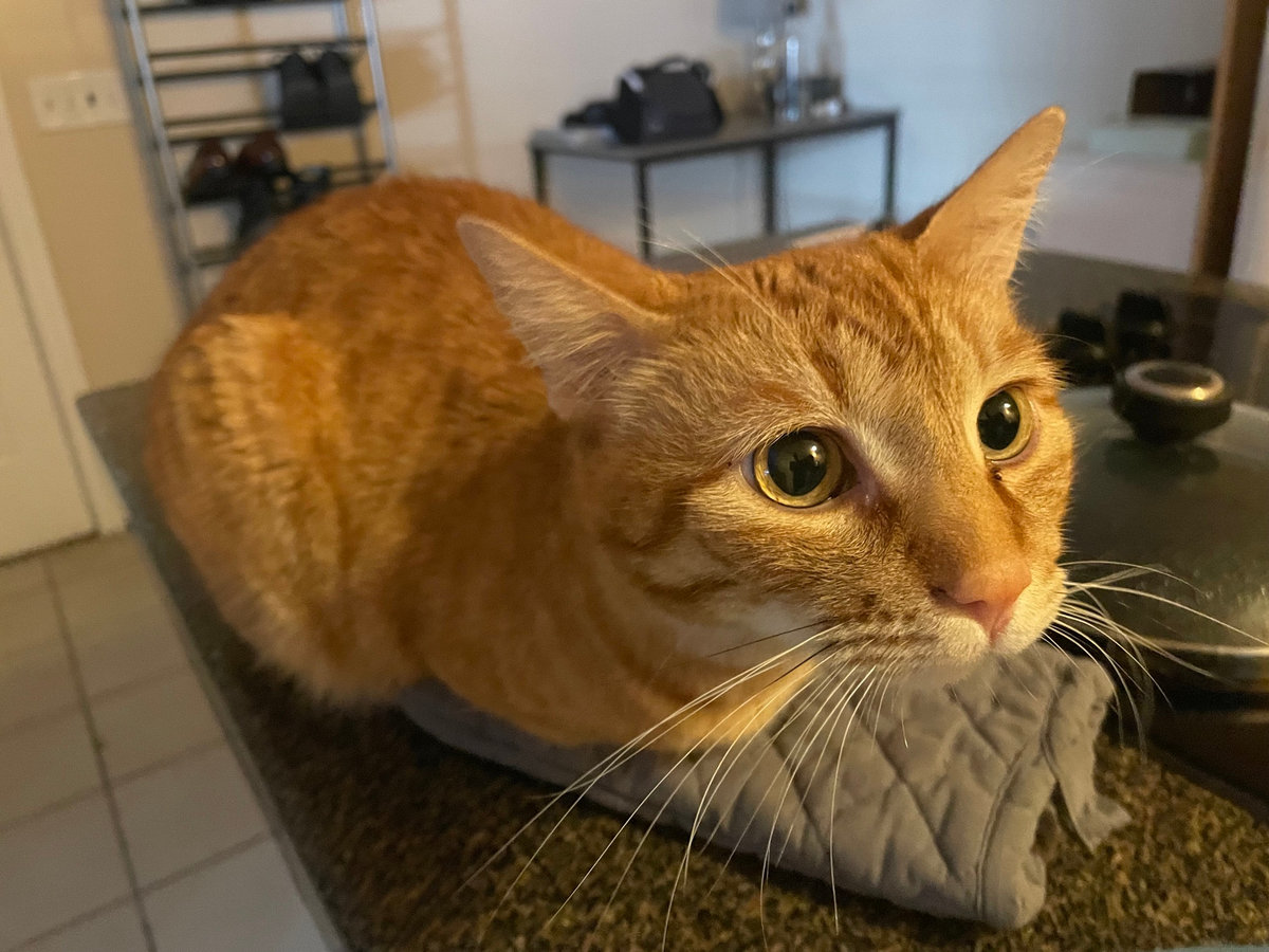 Automaton Lung ost | Luke Vincent