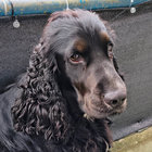 Madeleine | Yann Muller