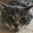 REGRET ROCK ft. Kasane Teto | MonochroMenace