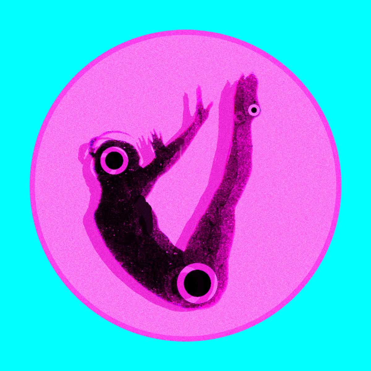 The Shivering Sea | Espen Storø | Rack Dive Records